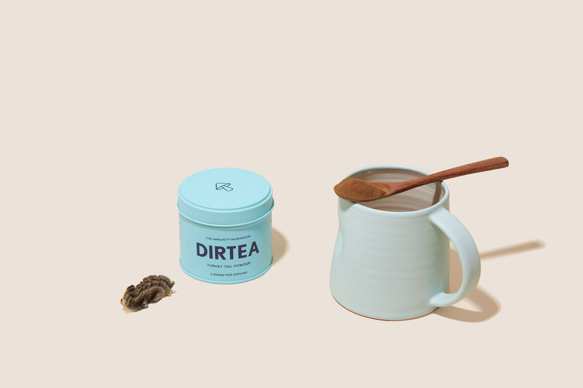 DIRTEA Functional Mushrooms | Shop Turkey Tail Mushroom Powder